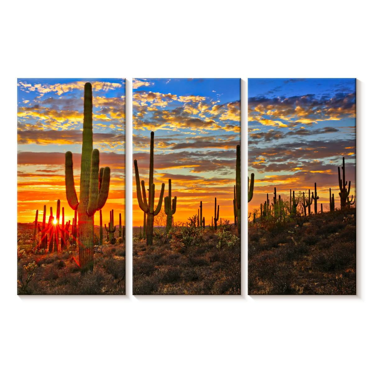 Elephant Stock Sunset Cactus Wall Art - Horizontal Multi Panel Canvas ...