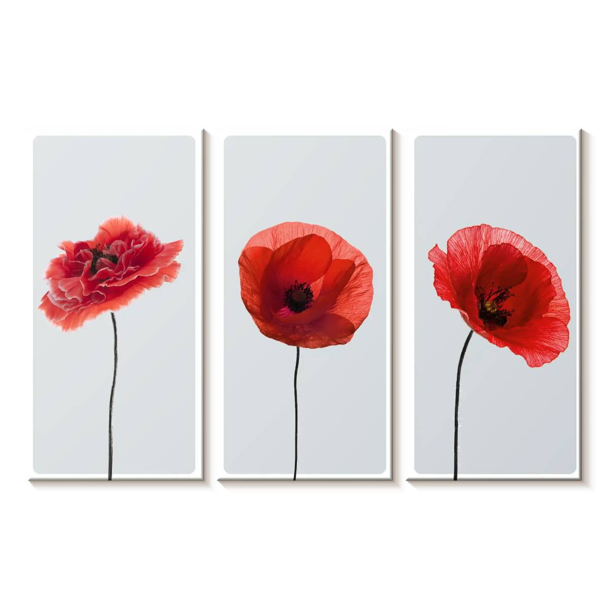 Elephant Stock Three Red Poppies Wall Art - Horizontal Multi Panel ...