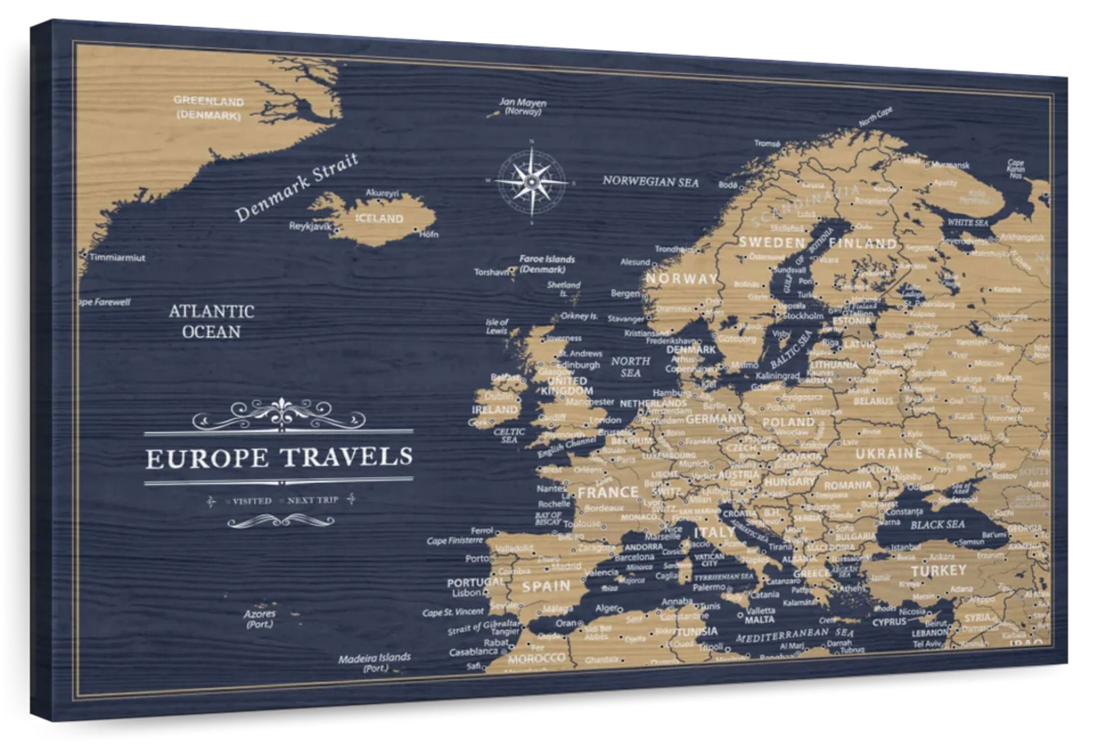 Elephant Stock Time Flies Push Pin World Map Ii Wall Art - Map Canvas ...