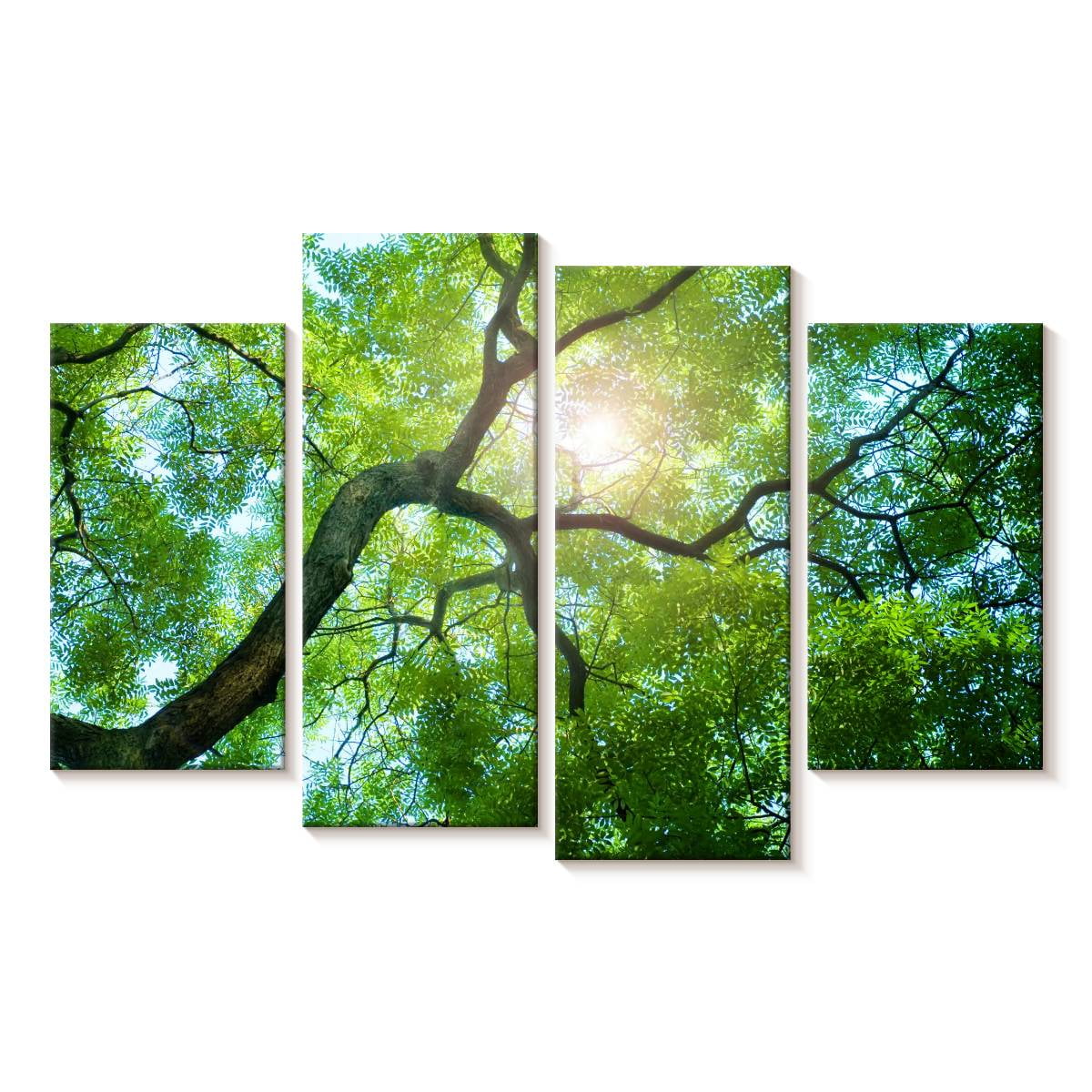 Elephant Stock Tree Canopy Sunshine Wall Art - Horizontal Multi Panel ...
