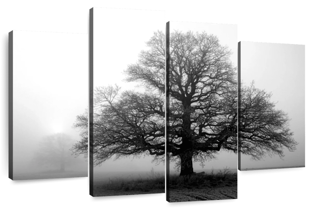 Elephant Stock Tree In Mist Wall Art - Horizontal Multi Panel Canvas ...