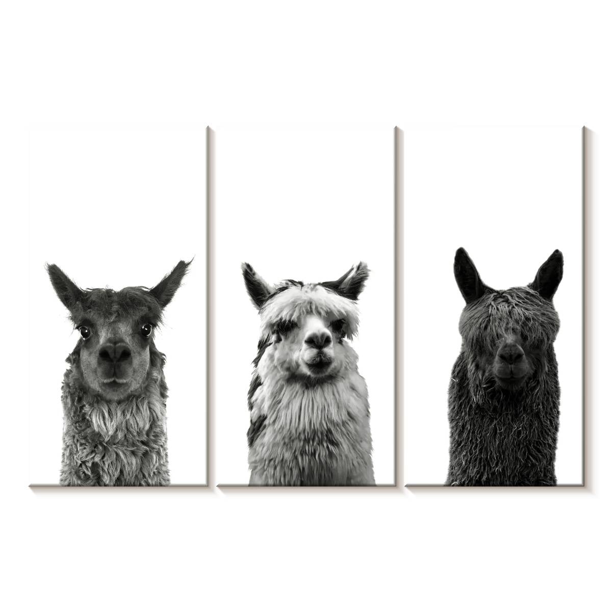 Elephant Stock Trio Alpaca Wall Art - Horizontal Multi Panel Canvas ...