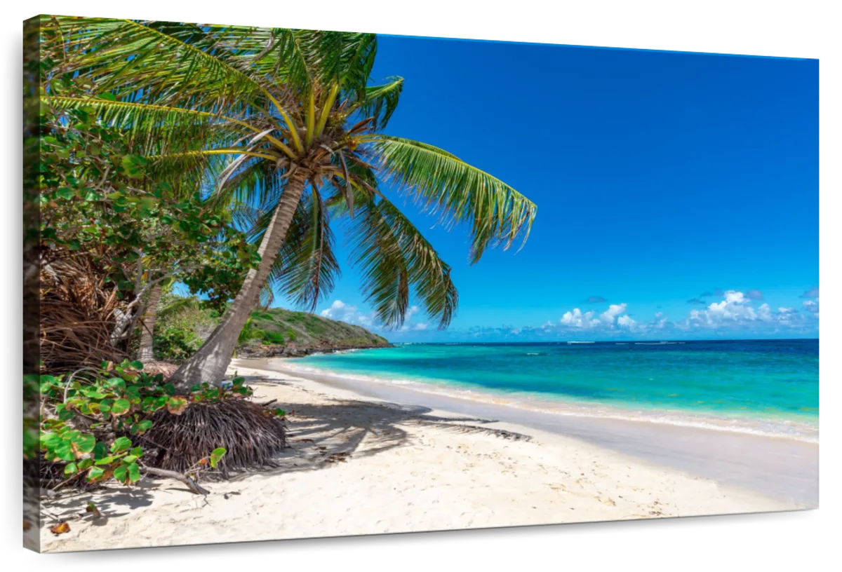 Elephant Stock Tropical Beach In Puerto Rico Wall Art - Horizontal ...