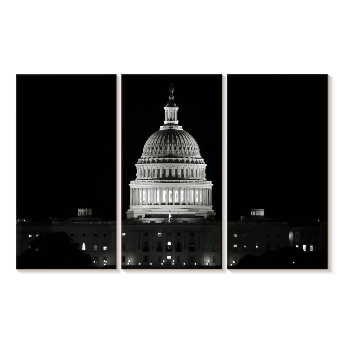 Elephant Stock Us Capitol Building Bw Wall Art - Horizontal Multi Panel ...
