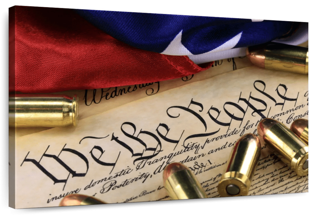Elephant Stock Us Constitution Preamble And Ammo Wall Art - Horizontal ...