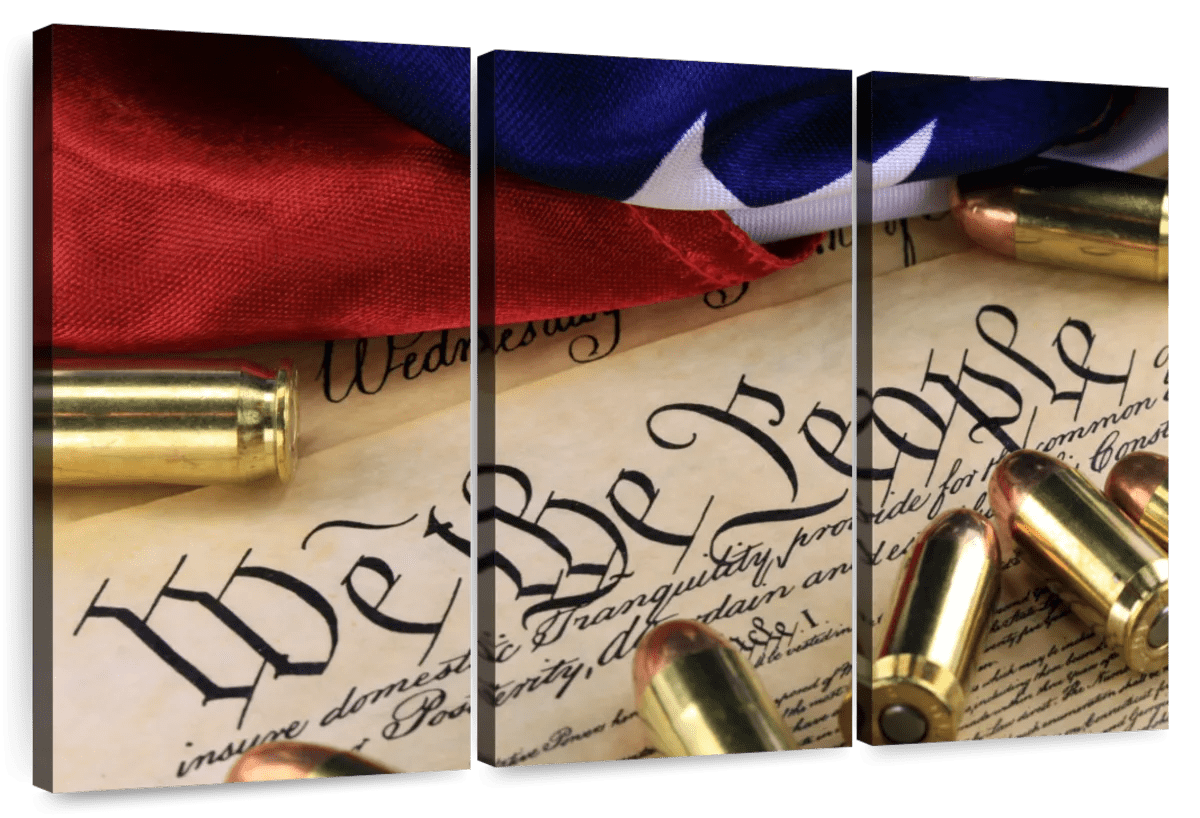Elephant Stock Us Constitution Preamble And Ammo Wall Art - Horizontal ...