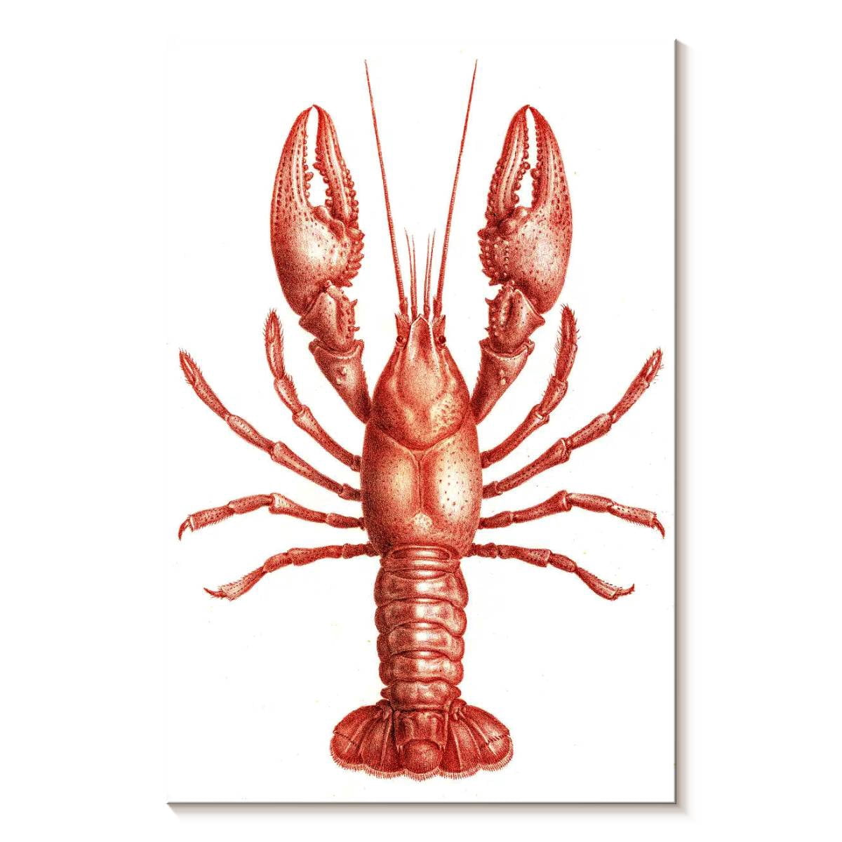 Elephant Stock Vintage Crawfish Wall Art - Vertical Canvas Wall Art ...