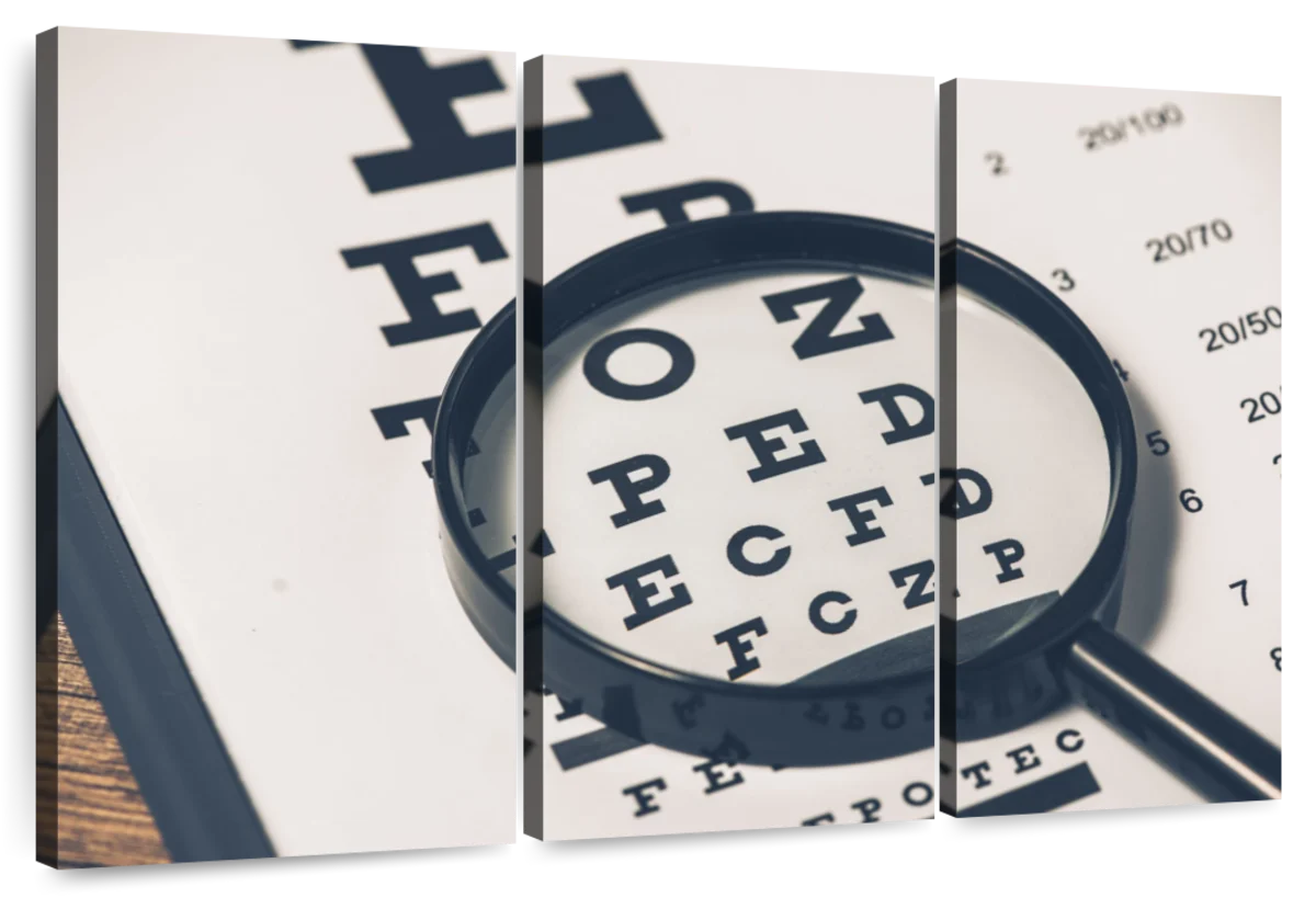 Elephant Stock Vision Chart Wall Art - Horizontal Multi Panel Canvas ...