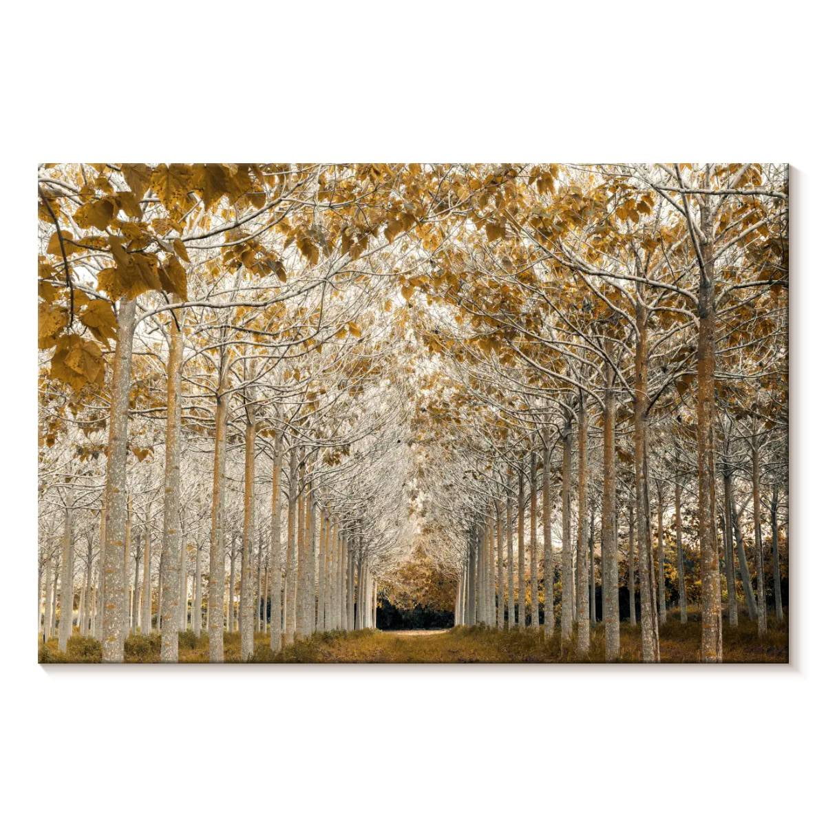 Elephant Stock White Gold Wall Art - Horizontal Canvas Wall Art ...