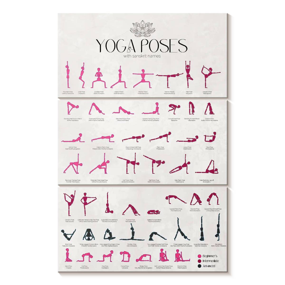 Elephant Stock Yoga Poses Chart Wall Art - Vertical Multi Panel Canvas ...