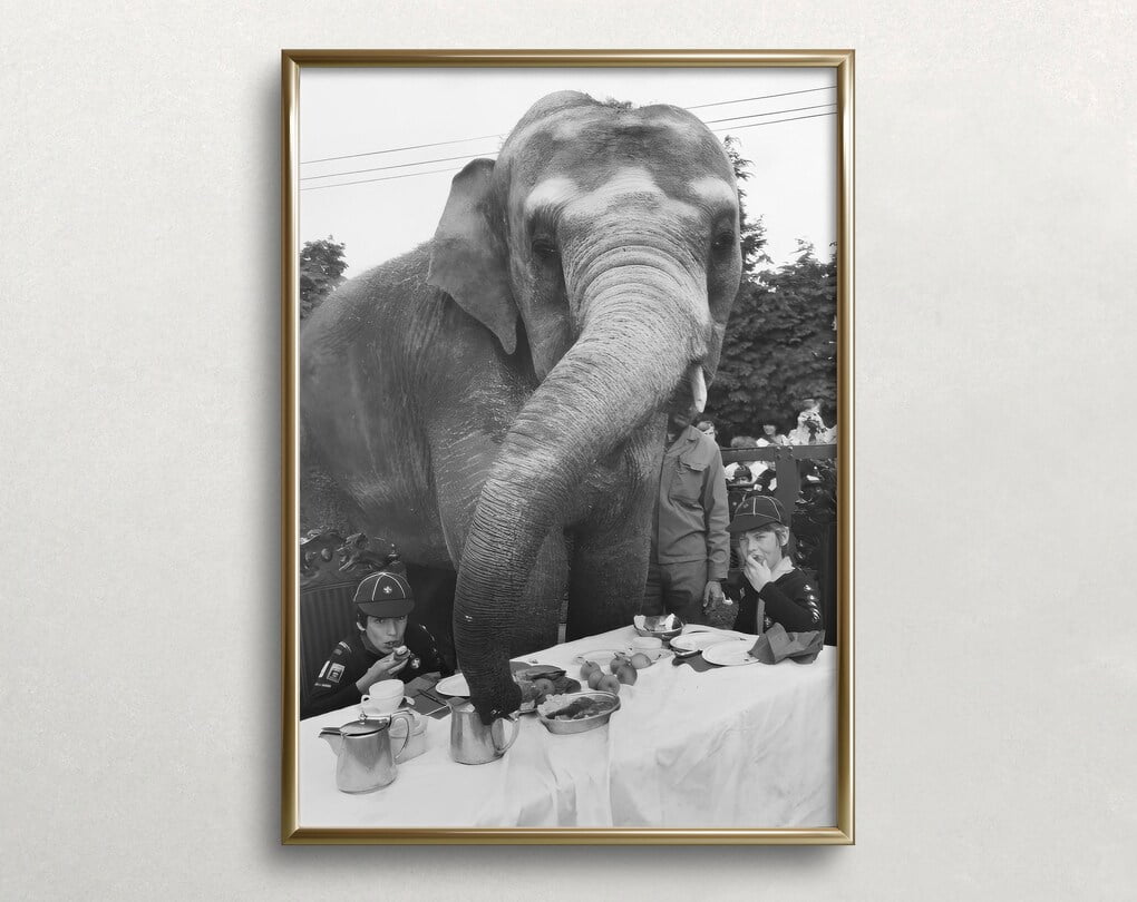 Elephant Tea Party, Cub Scouts Art, Black And White Art, Vintage Wall ...