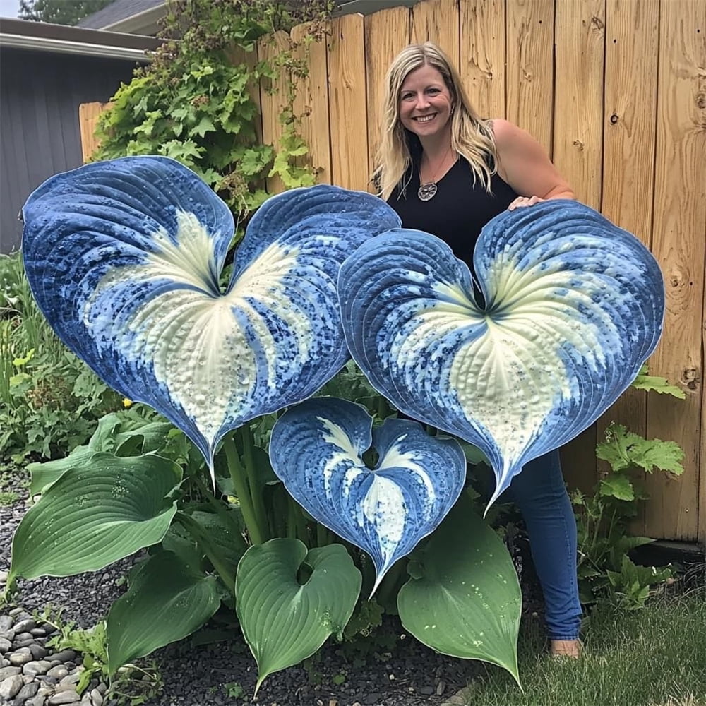 Elephant ear-Bulbs - Garden Stake, Perfect for Outdoor Courtyard ...