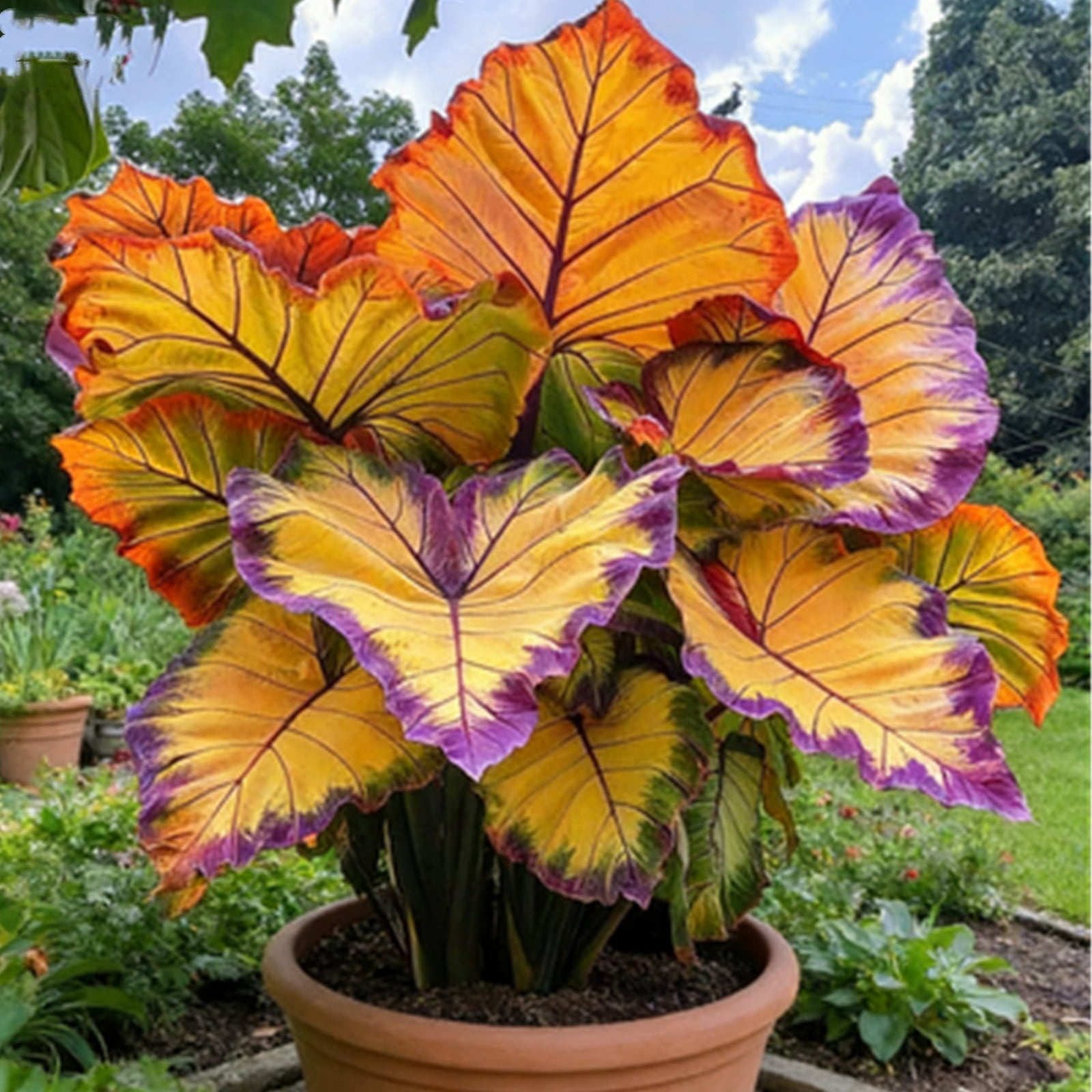 Elephant ear-Bulbs-for-Spring Planting Style Garden Stake for Outdoor ...