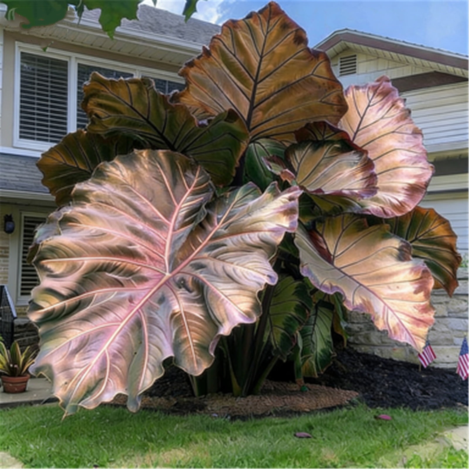 Elephant ear-Bulbs-for-Spring Planting Style Garden Stake for Outdoor ...