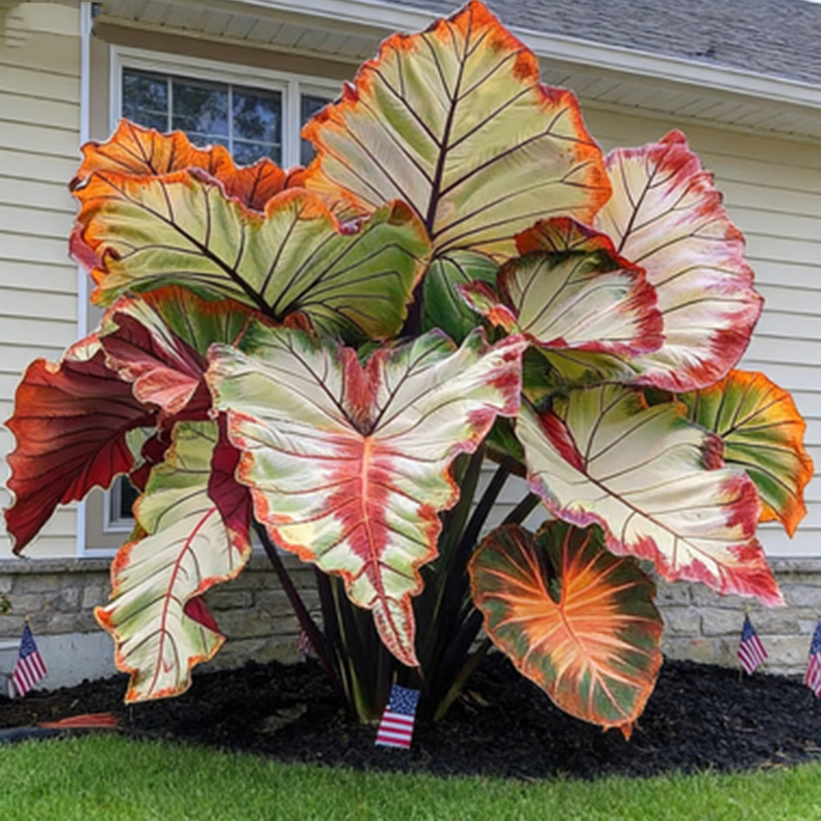 Elephant ear-Bulbs-for-Spring Planting Style Garden Stake for Outdoor ...