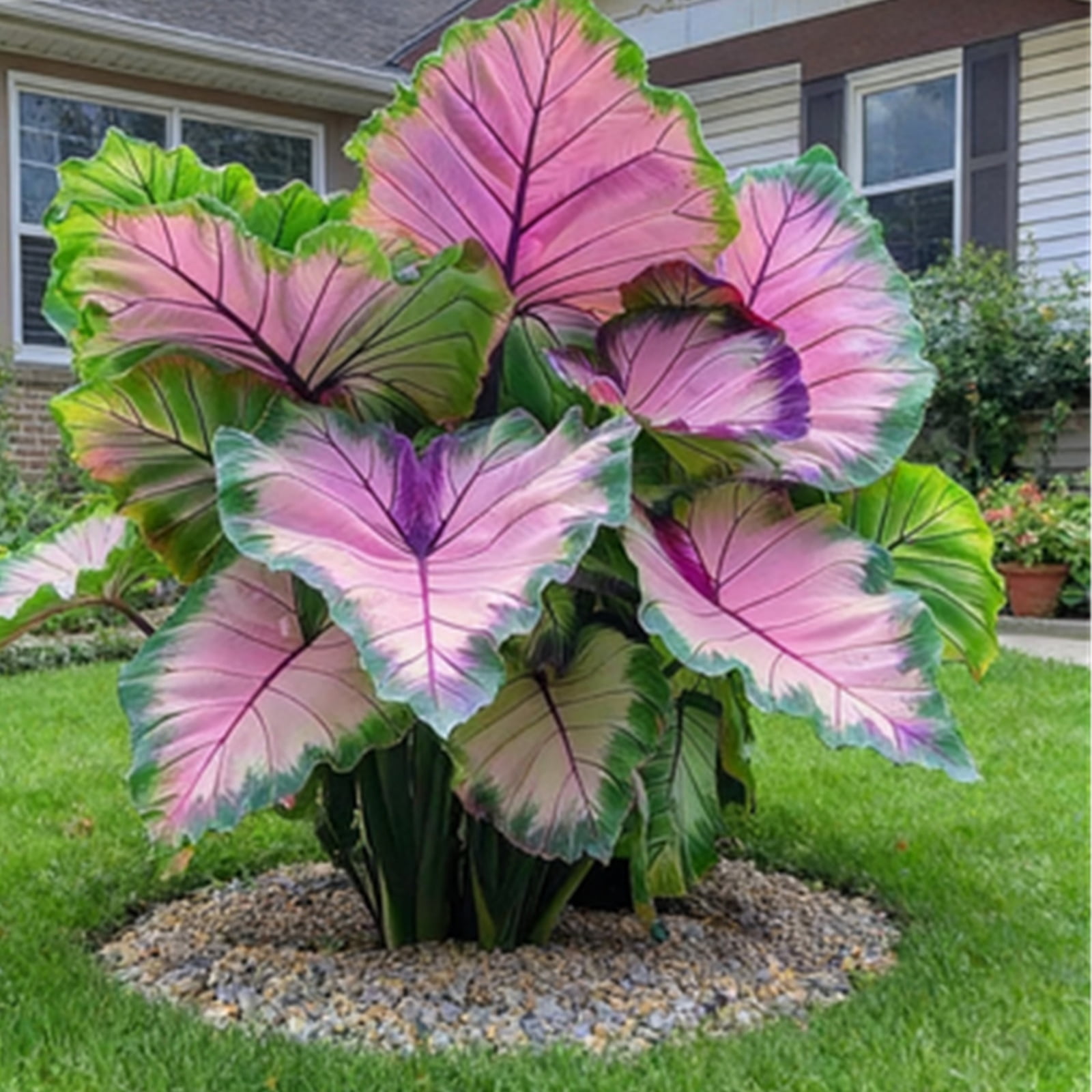 Elephant ear-Bulbs-for-Spring Planting Style Garden Stake for Outdoor ...
