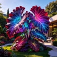 Elephant ear -Tall and Upright Cold-Resistant Suitable for Garden Decor ...