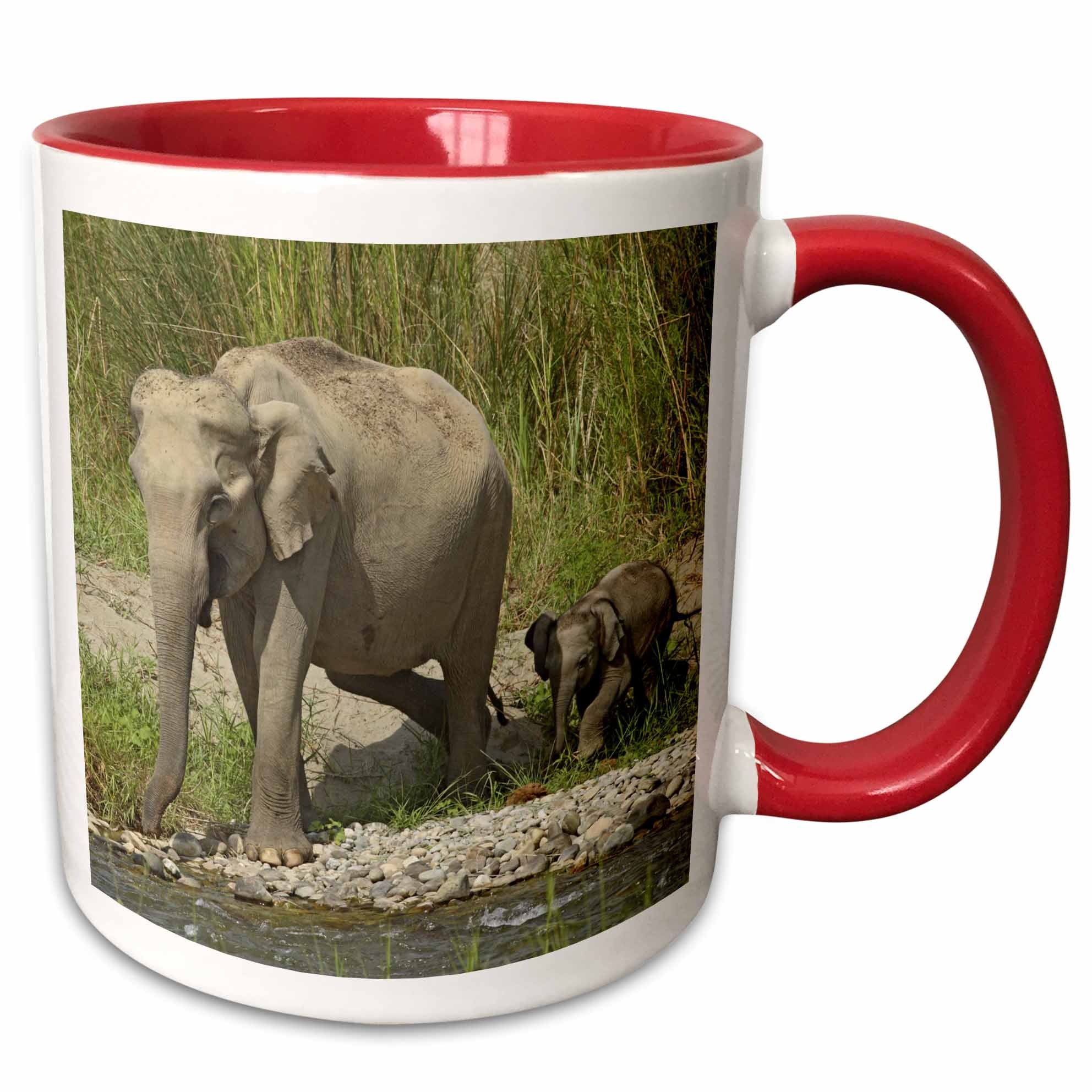 3drose, Elephants, Corbett National Park, Uttaranchal, -as10 Jra0092 ...