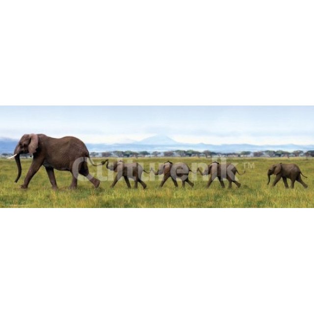 Elephants Linking Trunks - Slim Laminated Poster (36 X 12) - Walmart.com