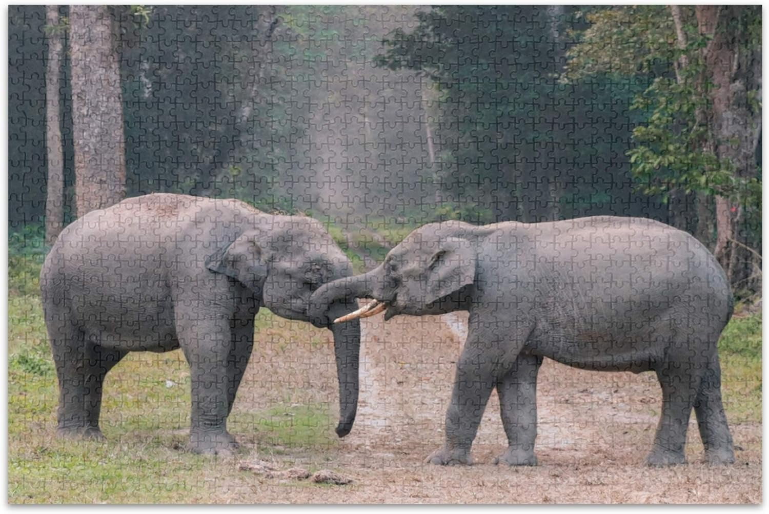 Elephants Playing Jigsaw Puzzle 500 Pieces for Adults Teens Kids, Large ...