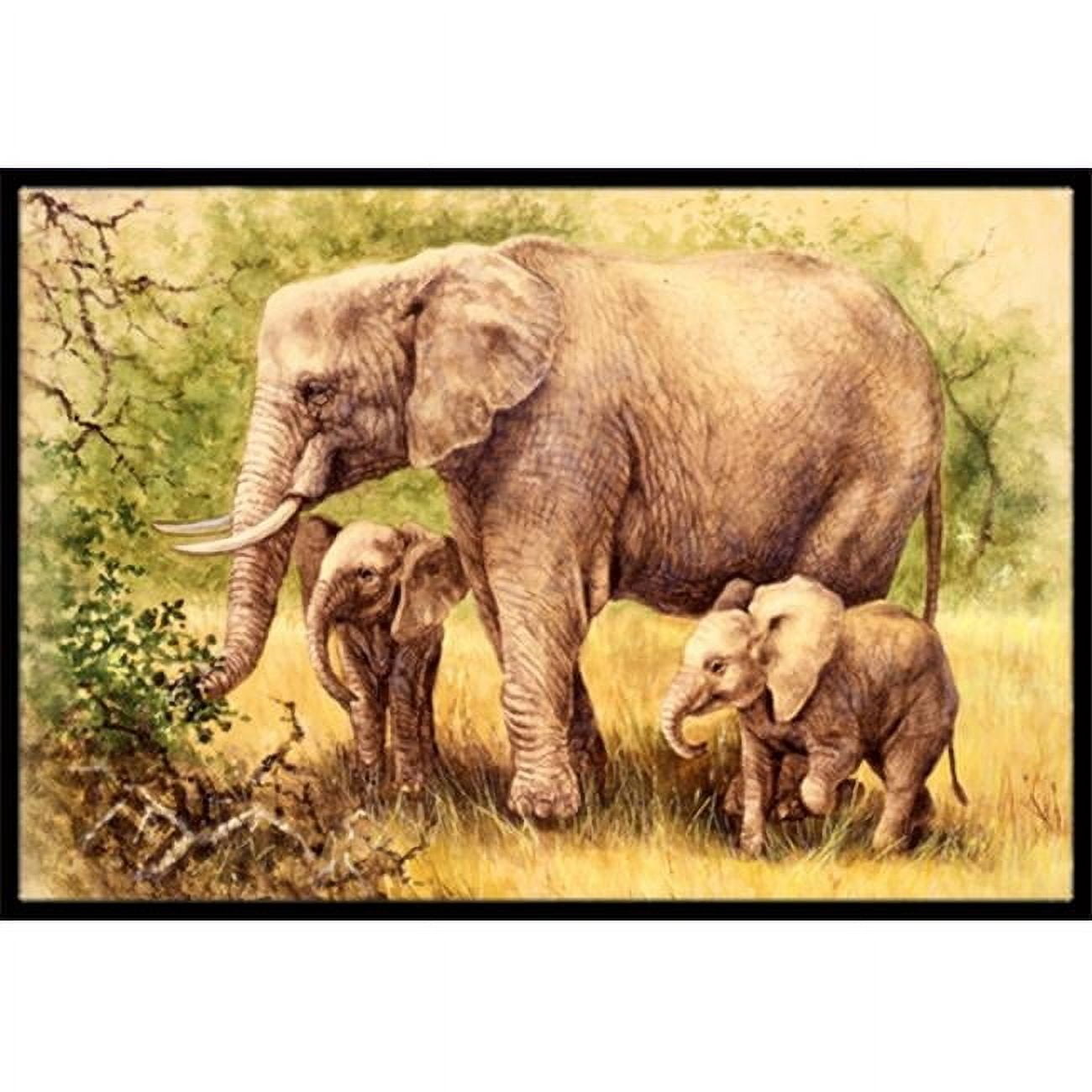 Elephants by Daphne Baxter Indoor or Outdoor Mat- 24 x 36 - Walmart.com