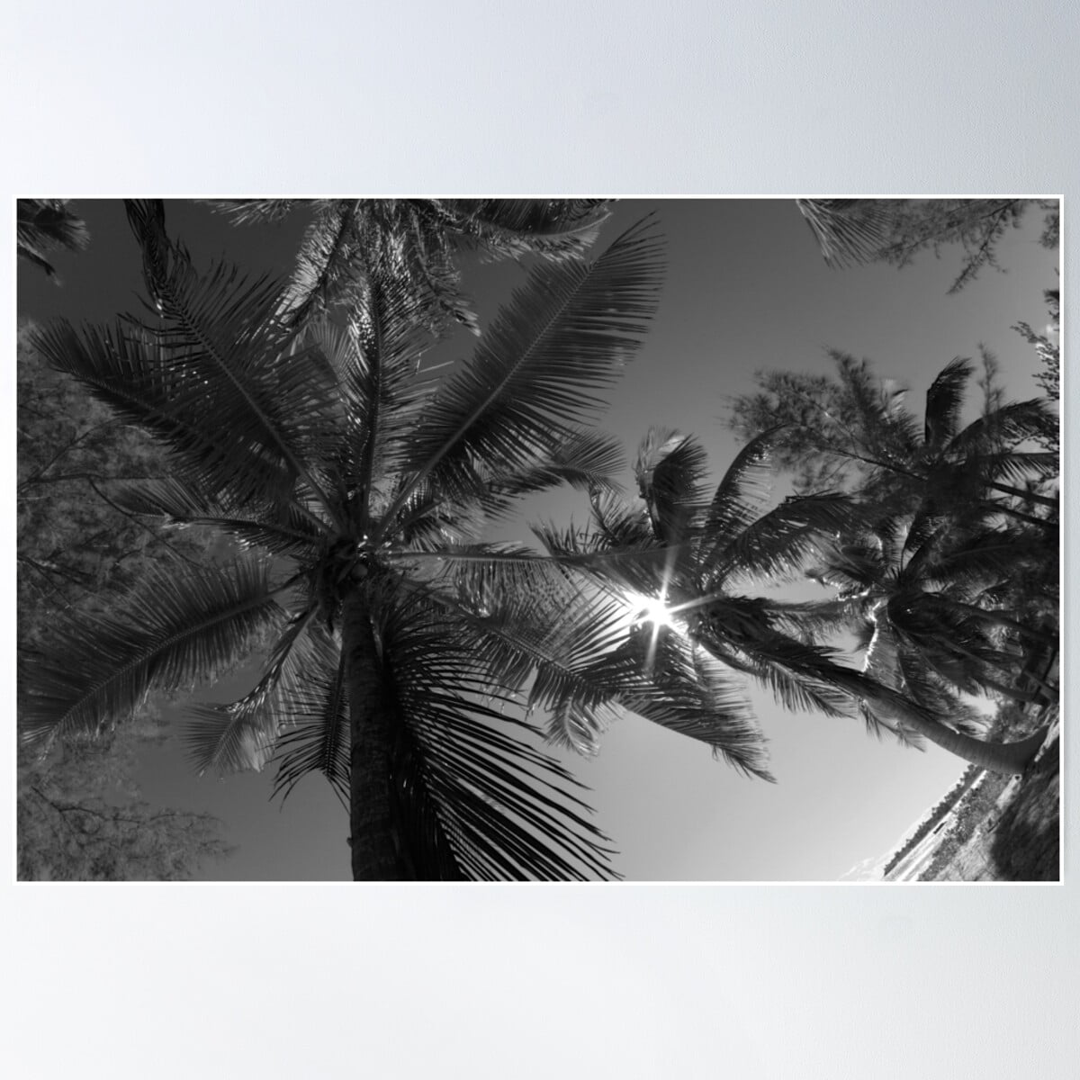 Eleuthera Island, Bahamas Poster Wall Art, Modern Wall Decor For Living ...