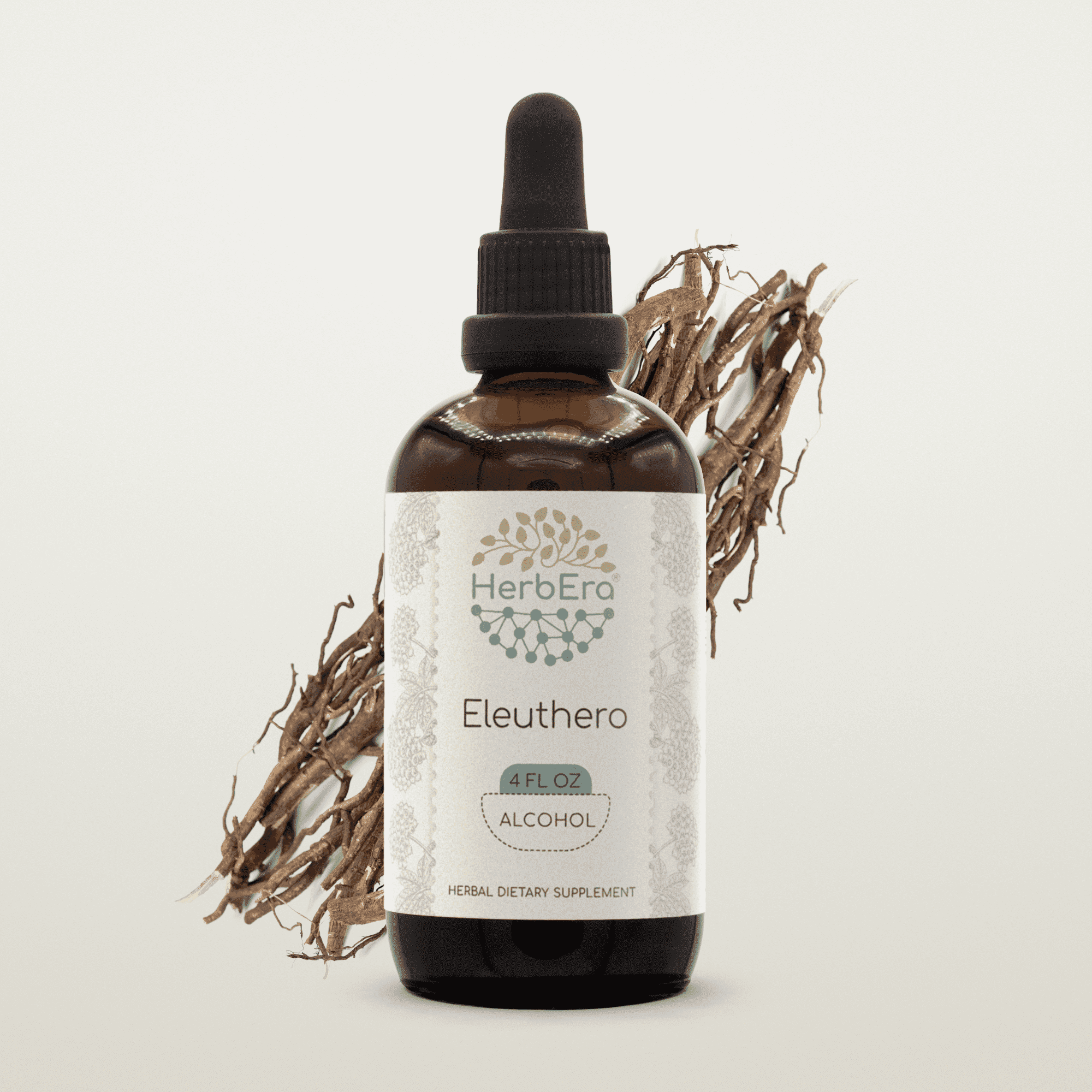 HerbEra Eleuthero Tincture, Herbal Dietary Supplement for Energy ...