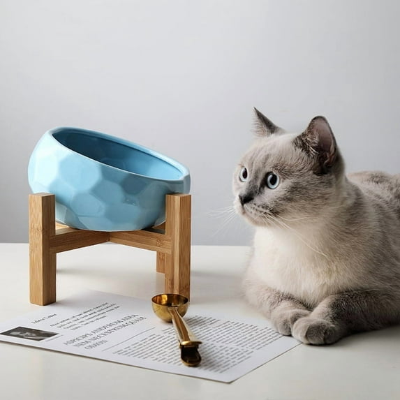 Elevated Cat Bowl with Slanted Design, Anti-Choking Food Dish for Easy ...
