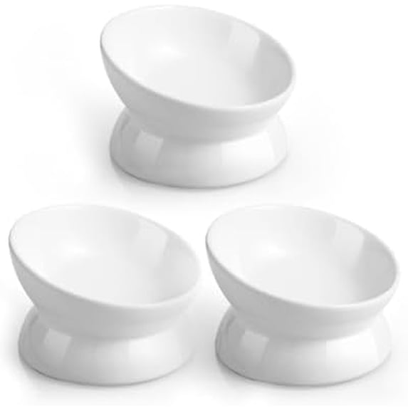 Elevated Cat Food Bowl, 5 Oz Ceramic Raised and Tilted Water Bowl, Anti ...