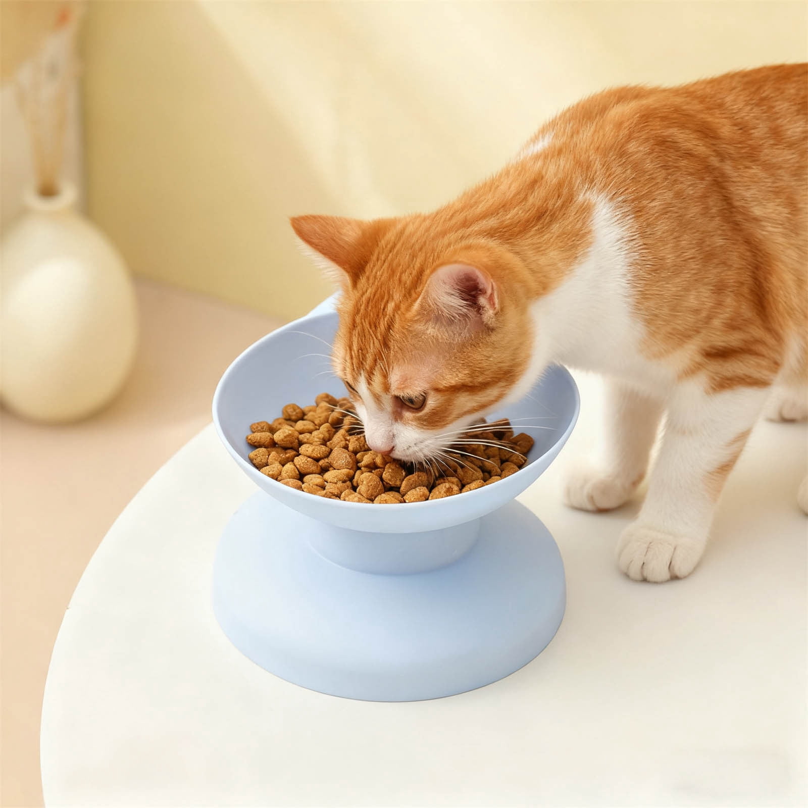Elevated Cat Food Bowl, Plastic Anti-Slip Pet Food Container, Portable ...
