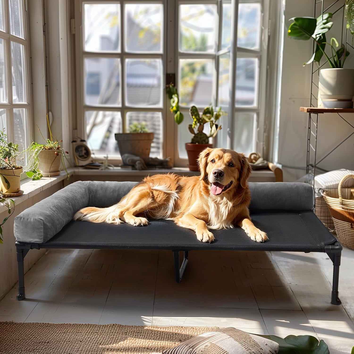 Elevated Dog Bed-Raised Cooling Outdoor Dog Cot Bed for Large Sized ...