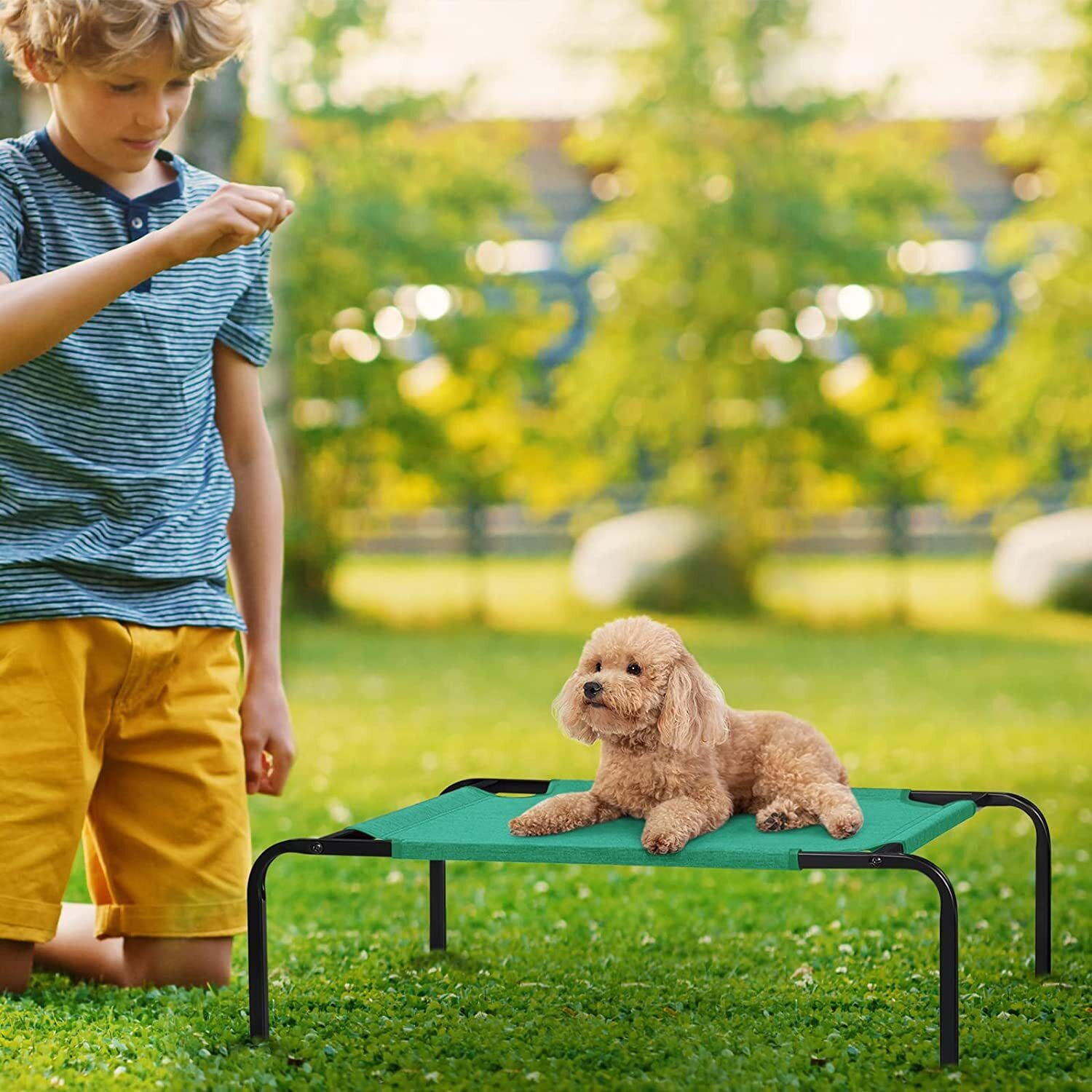 Elevated Dog Bed Raised Cooling Pet Cot for Dogs Cats with Breathable ...