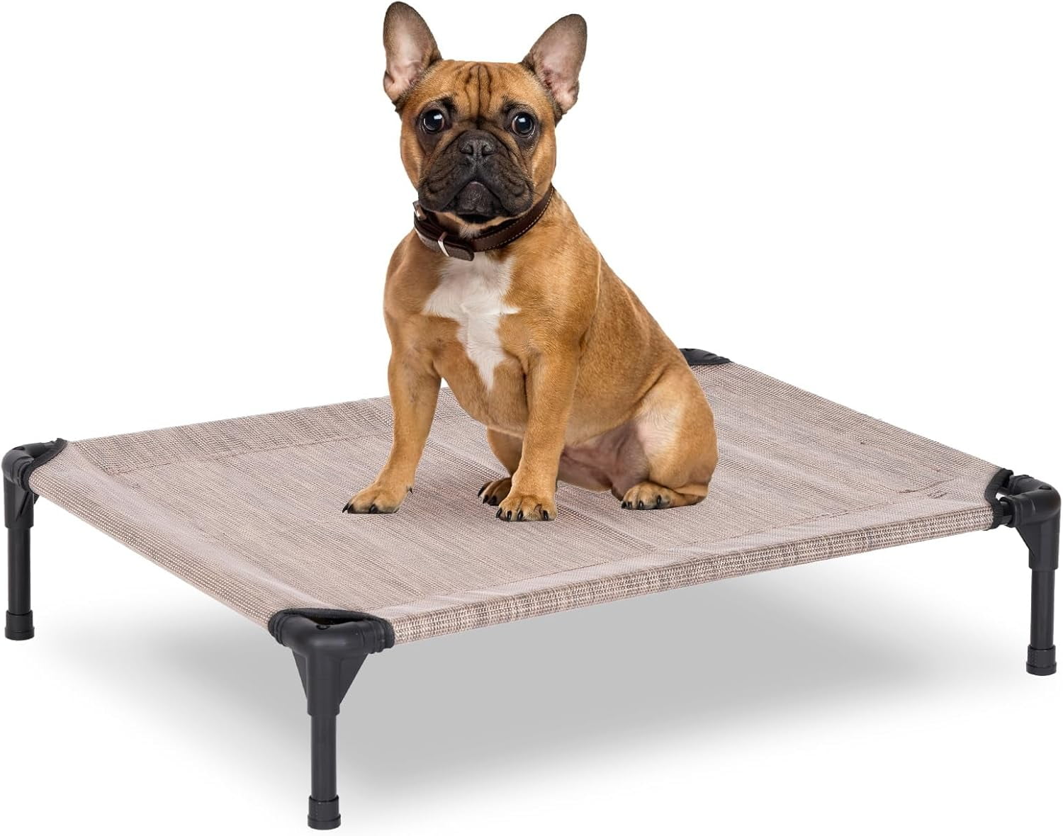 Elevated Dog Bed - Raised Outdoor Cooling Dog Cot Bed for Medium Dog ...