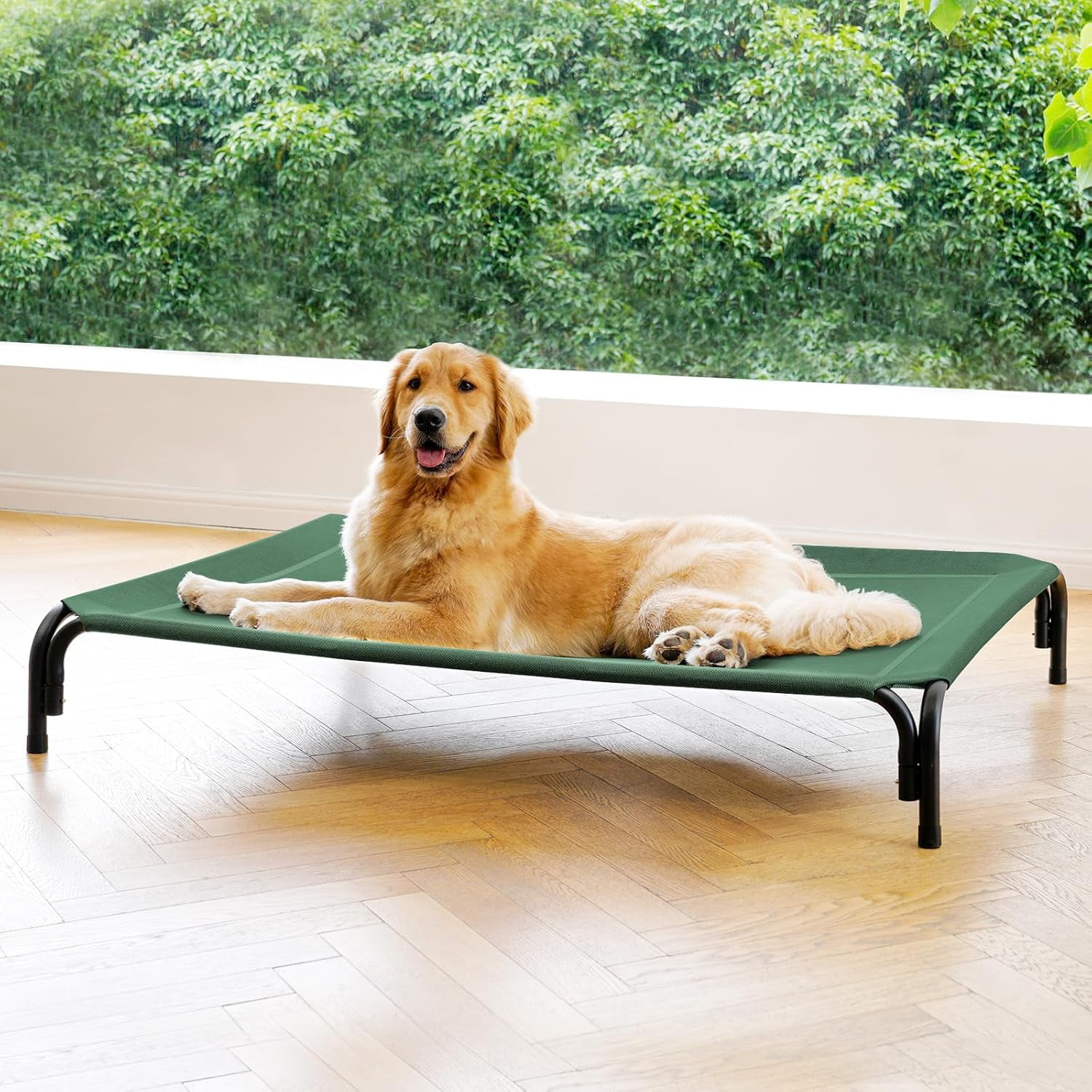Elevated Dog Bed Raised Outdoor Dog Cot for Large Dogs, Installation ...