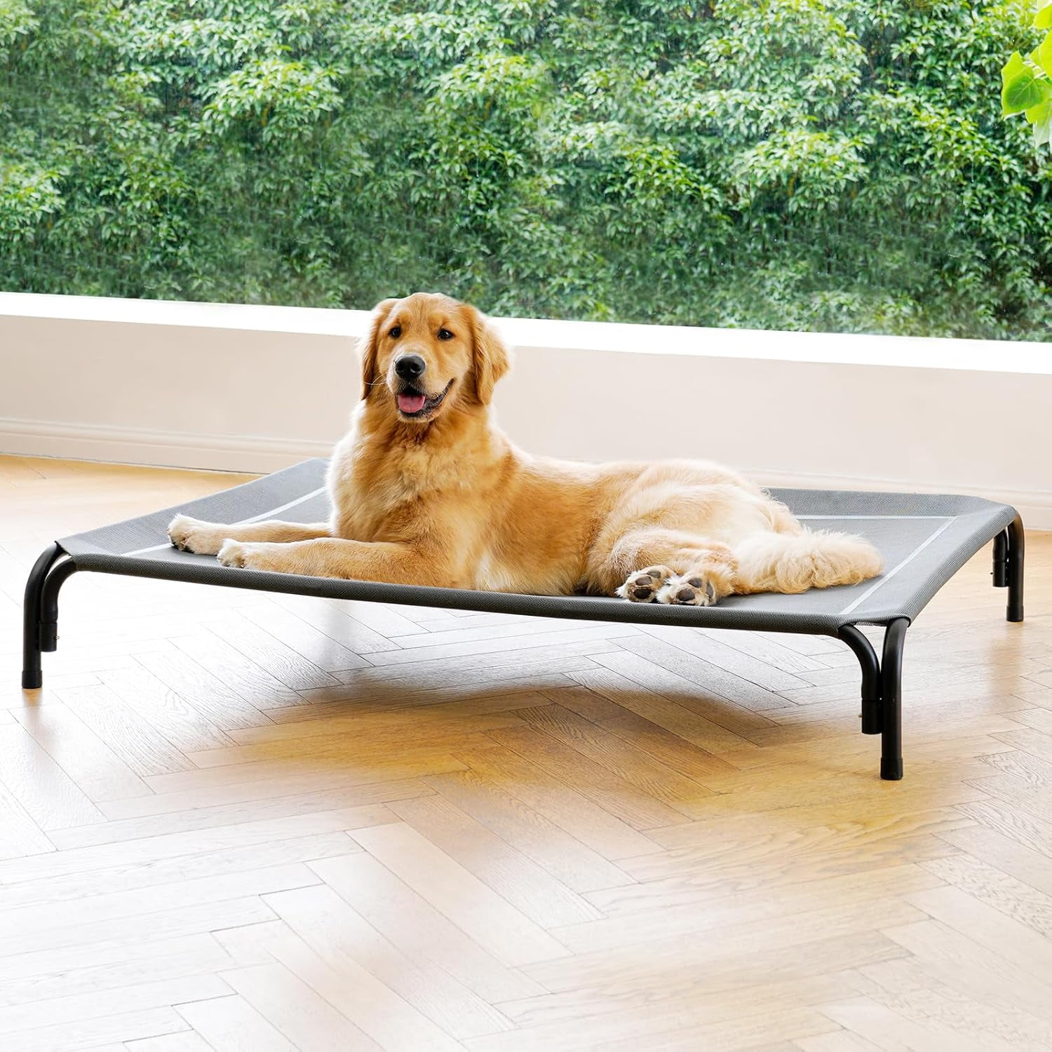Elevated Dog Bed Raised Outdoor Dog Cot for Large Dogs, Installation ...