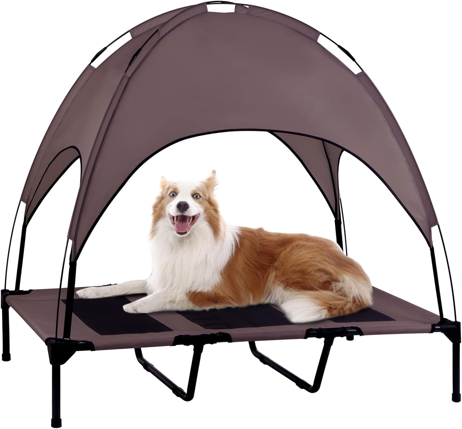 Elevated Dog Bed with Removable Canopy, 48-Inch Waterproof Raised Pet ...