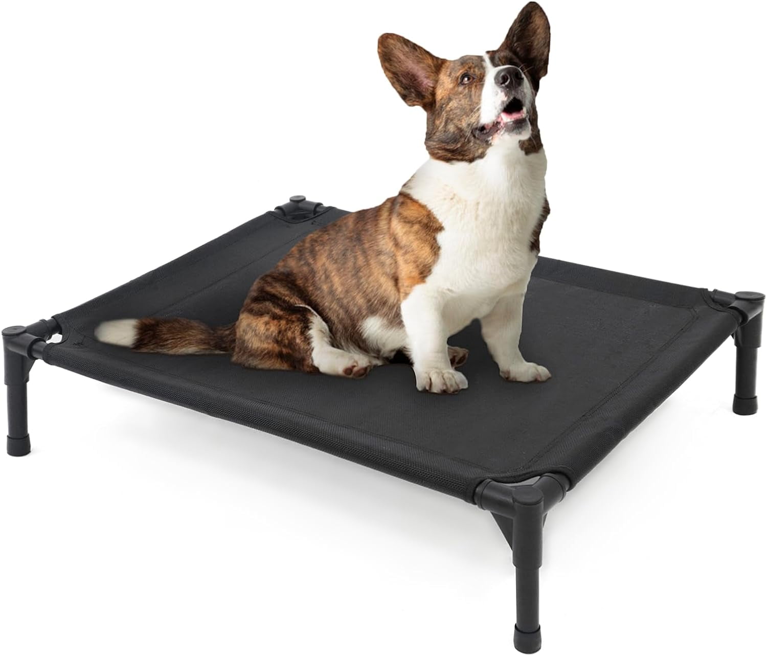 Elevated Dog Bed for Small Dogs, Raised Dog Cot Beds Fits Up to 150 LBs ...
