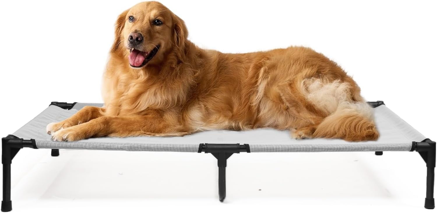 Elevated Dog Bed XL, Extra Large Raised Dogs Cot with Washable Mesh ...