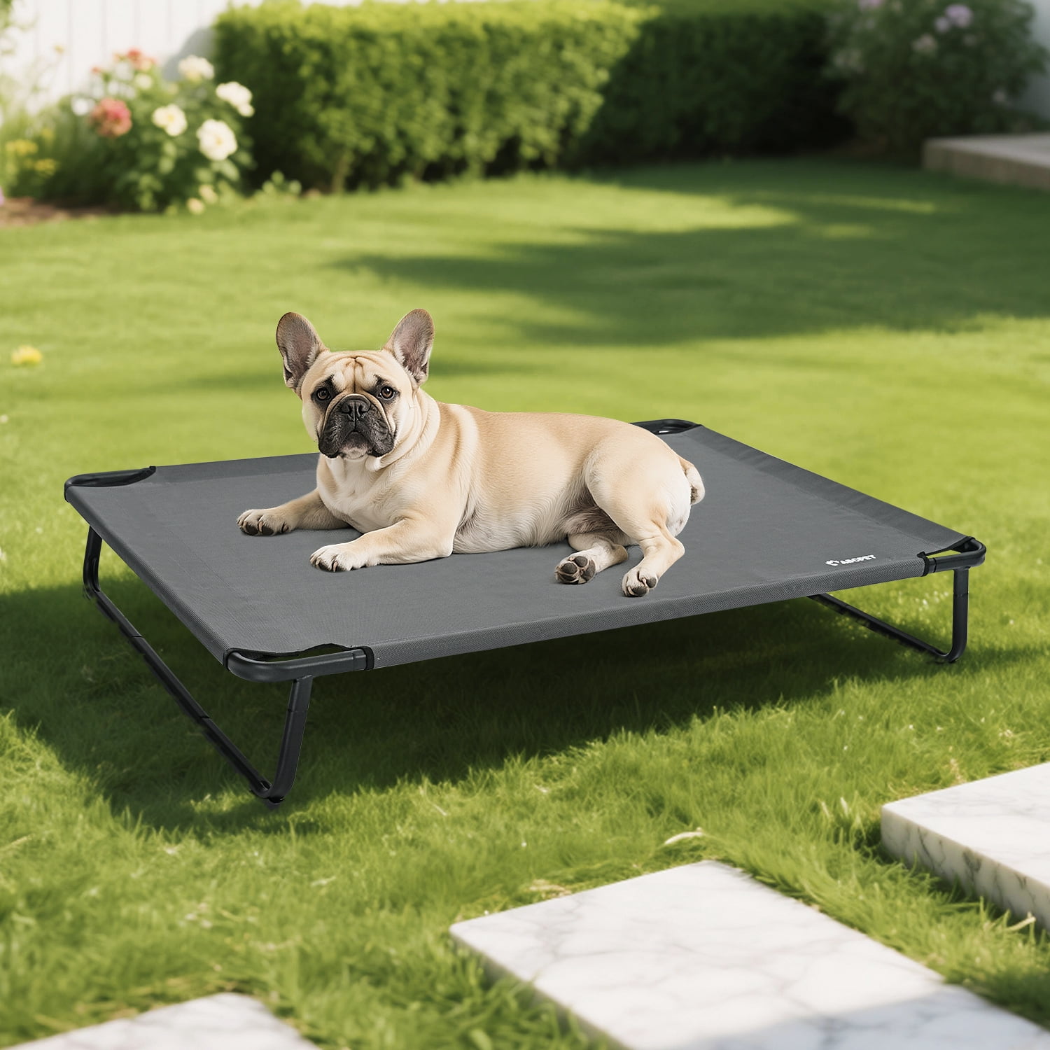 Elevated Dog Beds Extra Large Raised Dog Cots Outdoor Dog Bed ...