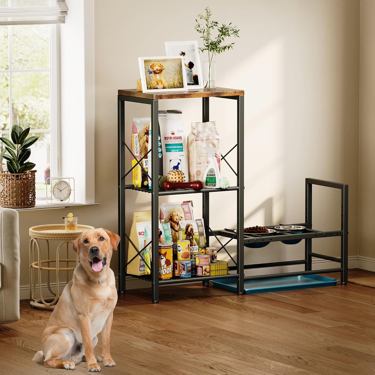 Elevated Dog Bowl Stand, Raised Dog Bowl Stand with Tray, Dog Food and ...