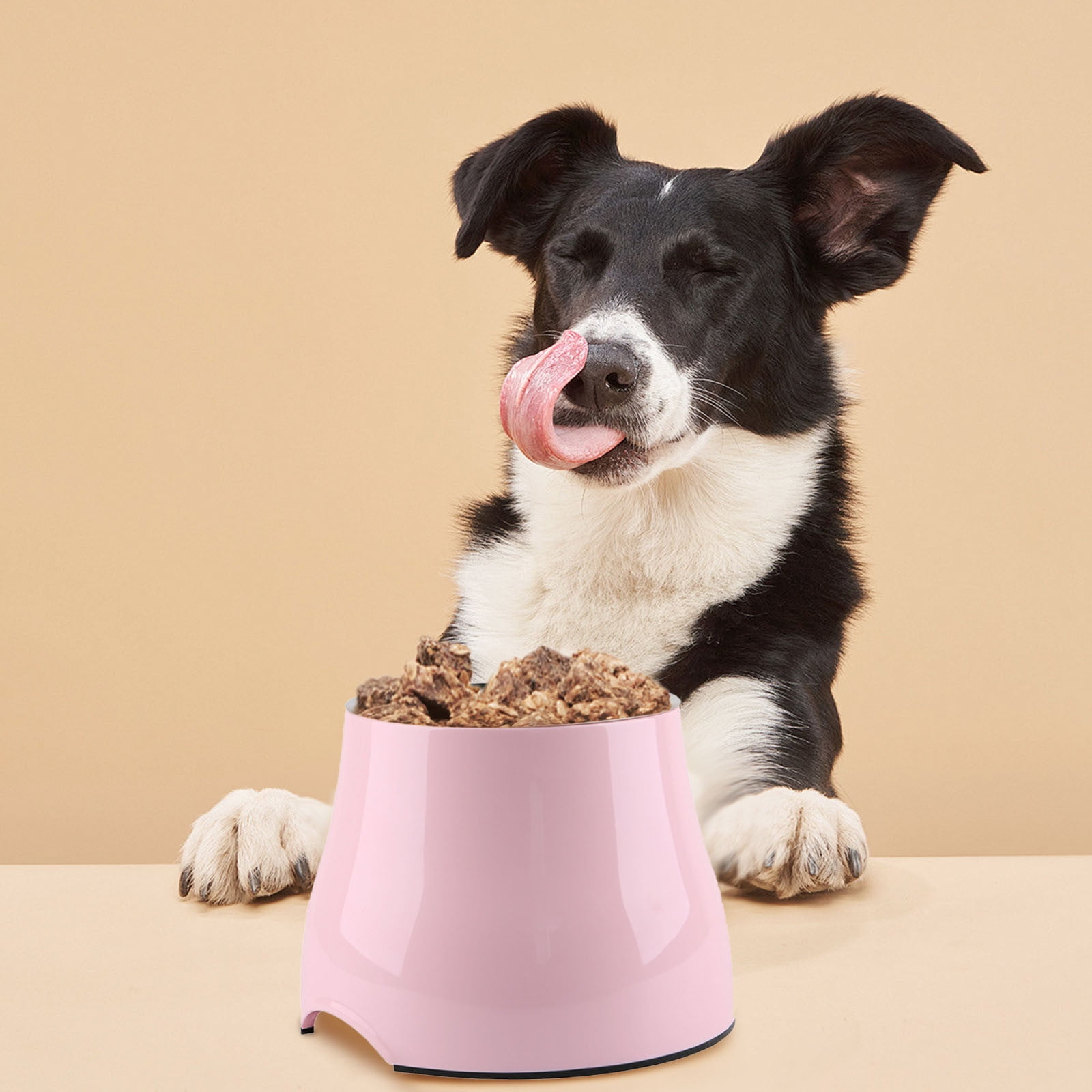 Elevated Dog Bowls for Small & Medium Dogs, Raised Cat Bowls with ...