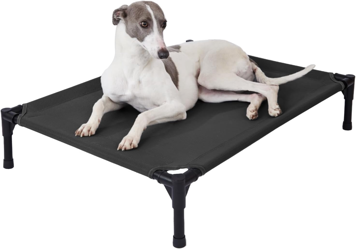 Elevated Outdoor Dog Bed - Dog Cots for Medium Pet, Heavy Duty Raised ...