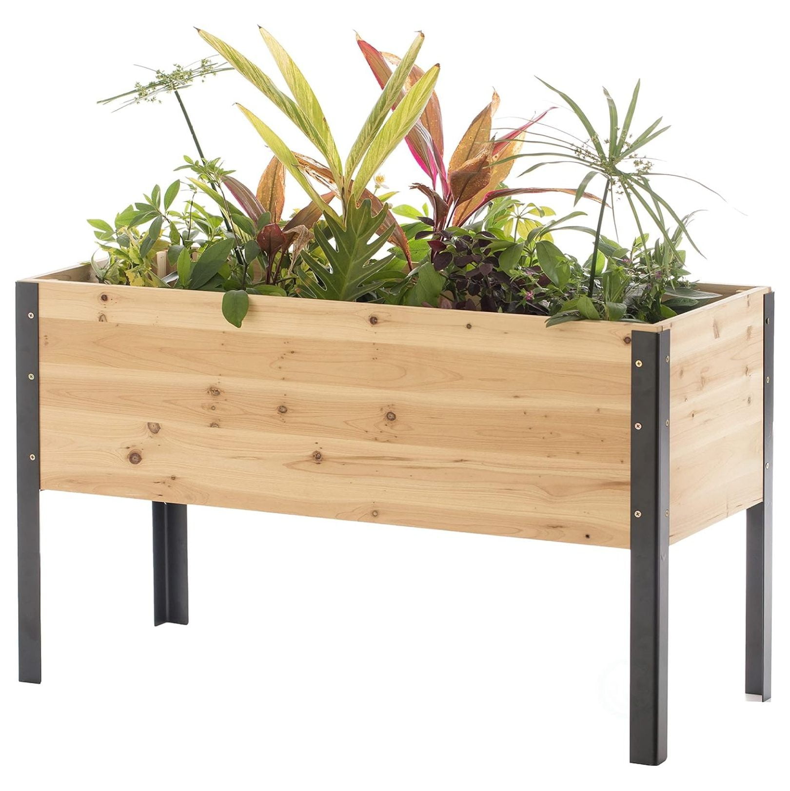 Elevated Outdoor Raised Rectangular Planter Bed Box Solid Wood with ...