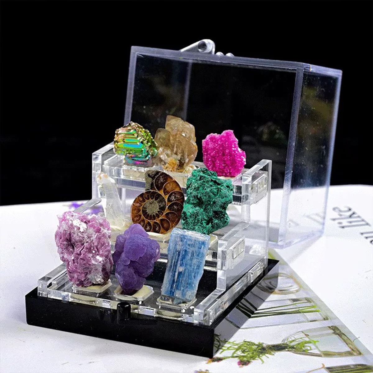 2 pcs Mystery Mineral Treasure Box: 9 Unique Natural Specimens for STEM ...