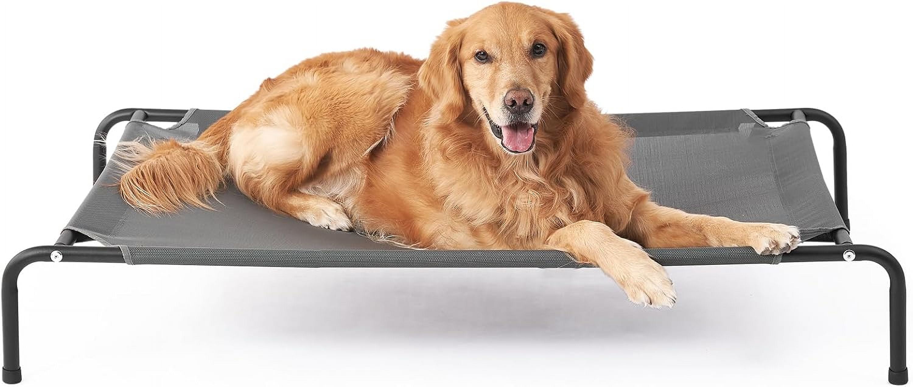 Elevated XL Dog Cot Bed, Raised Outdoor Dog Hammock for Extra Large ...