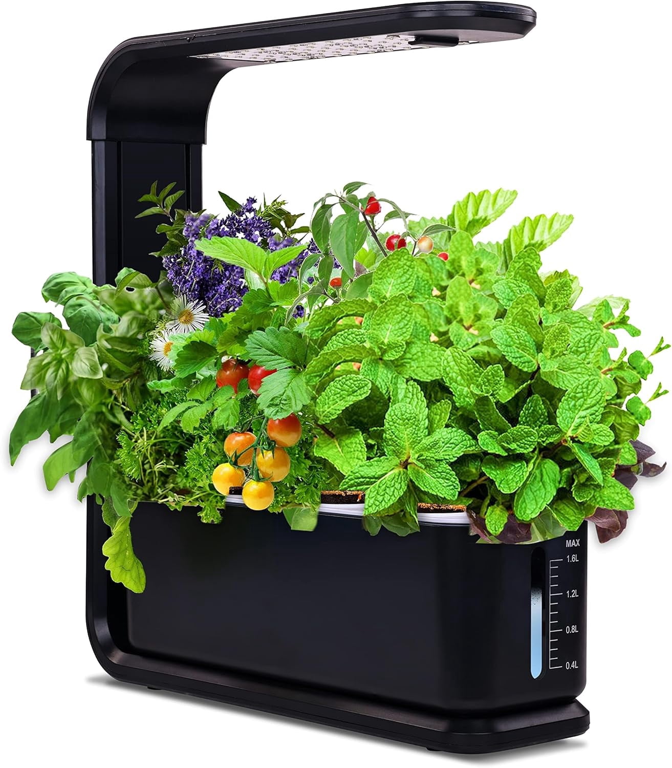 Elevon Sprout Indoor Hydroponic Herb Garden with LED Grow Light for ...