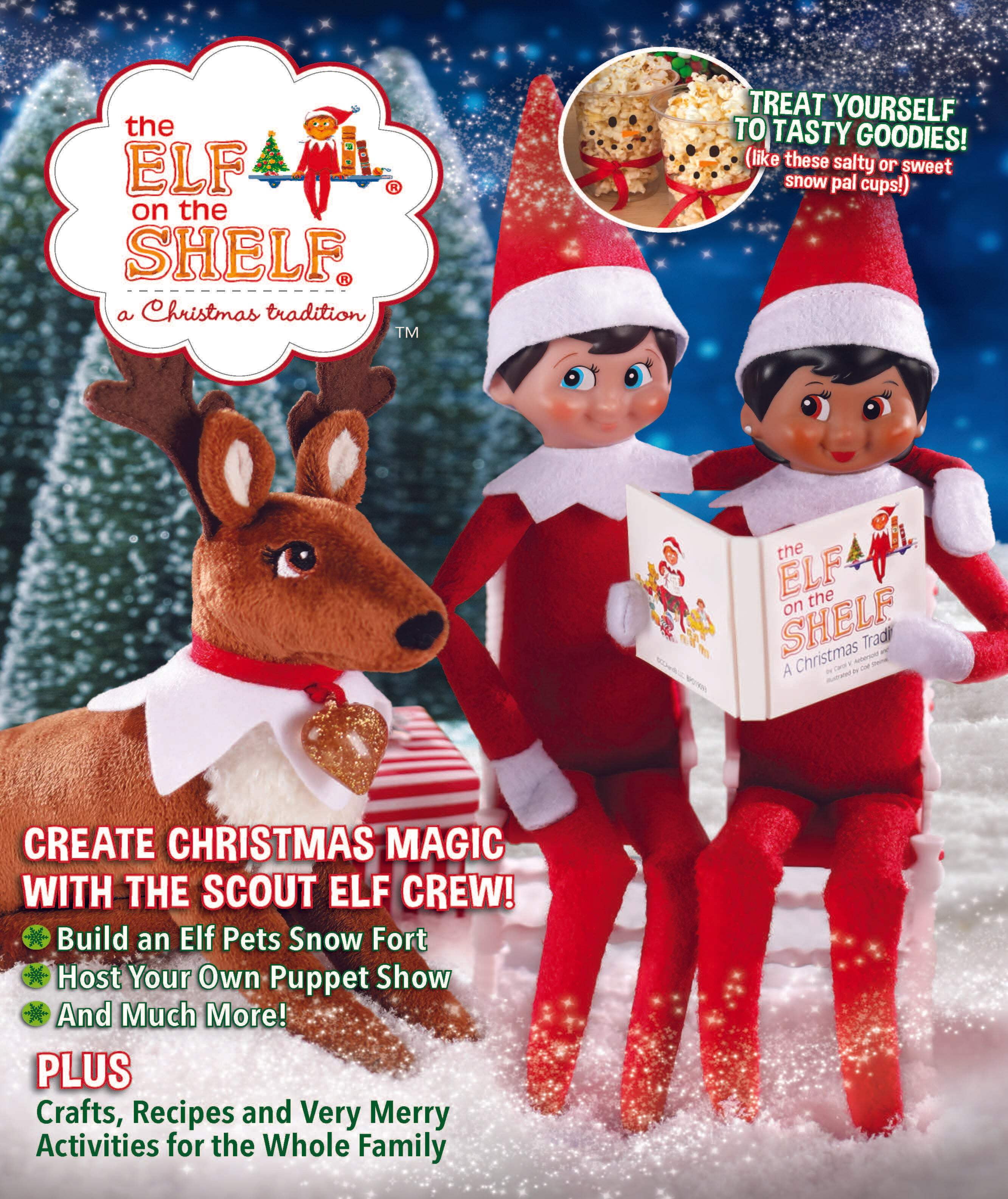The Elf On A Shelf - A Christmas Tradition: Activities With Santa’s ...