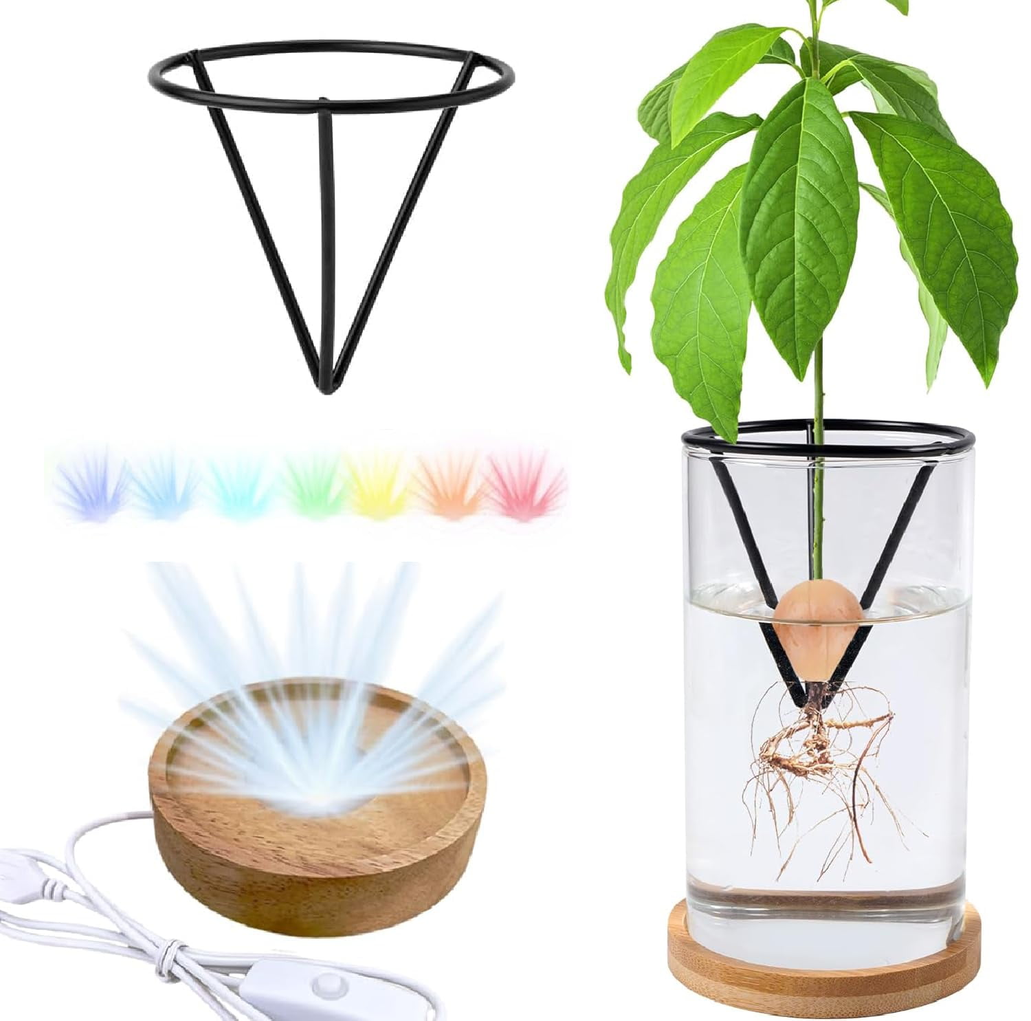 Elfzone Clay Potter Seed Starter - BSL1 Growing Kit Seeds for Planting ...