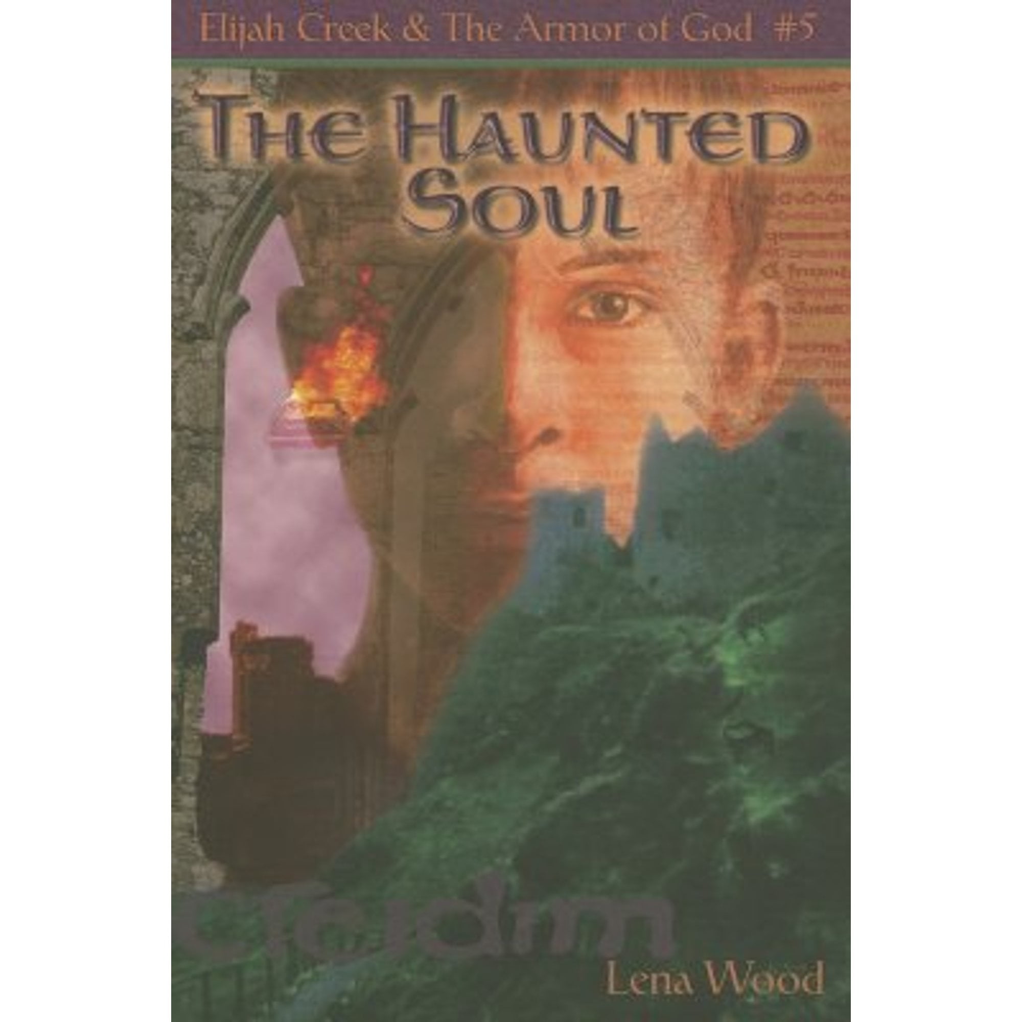 Pre-Owned The Haunted Soul (Paperback) 0784717605 9780784717608 ...