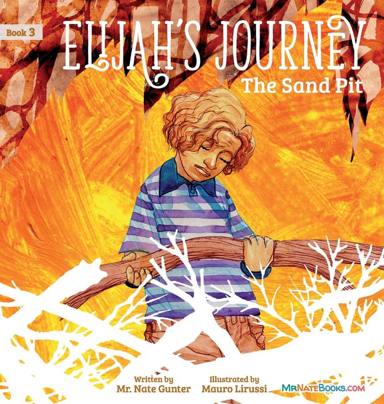 Elijah's Journey Storybook Series for Ch Elijah's Journey Children's ...